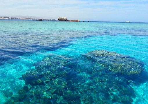 Egyiptom | Sharm El Sheikh Naama Bay utazás | Coral Beach Resort